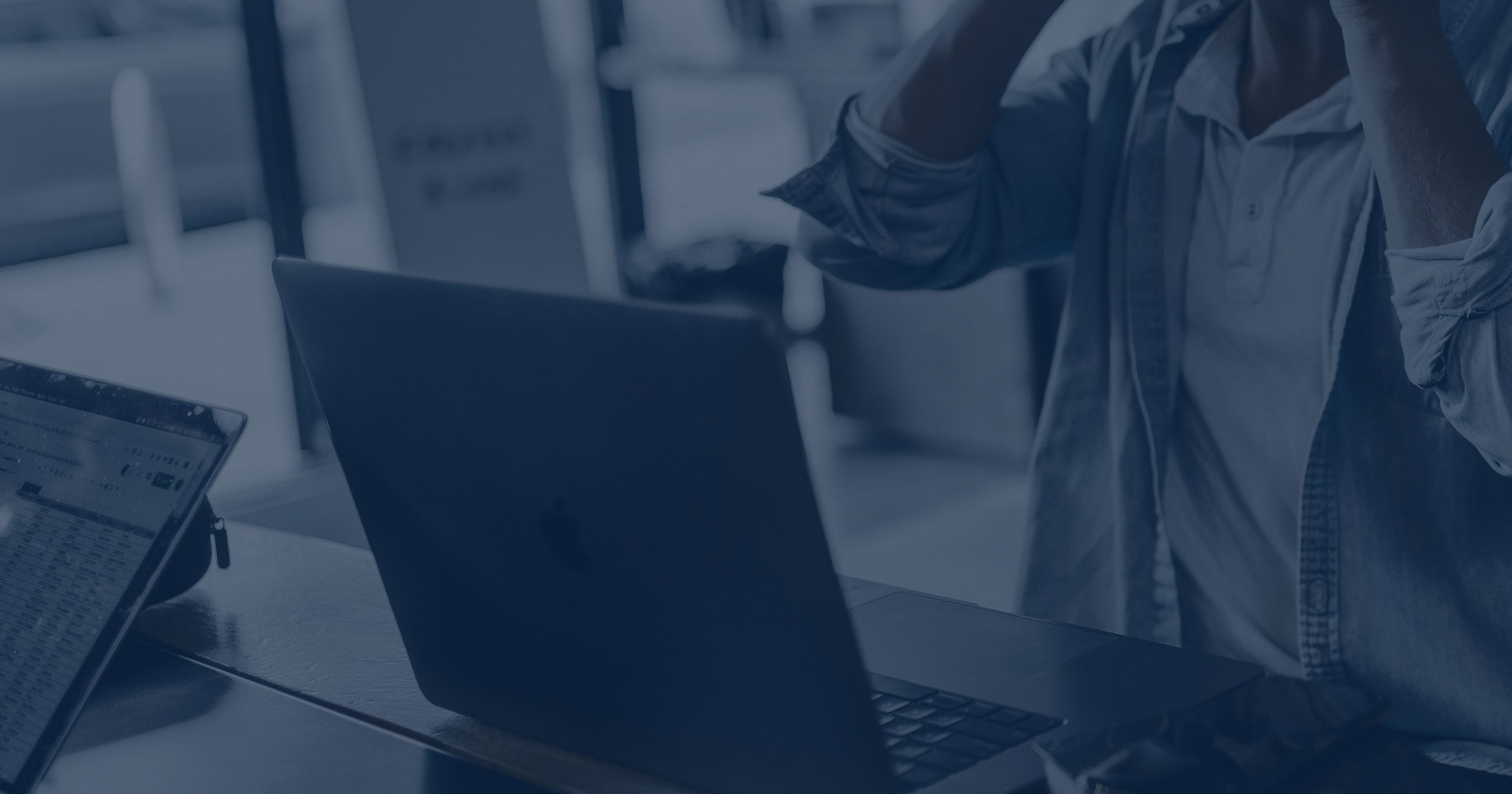 REX - BIP Consulting